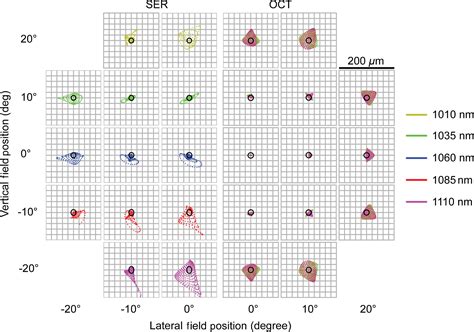 Handheld Spectrally Encoded Coherence Tomography And Reflectometry For