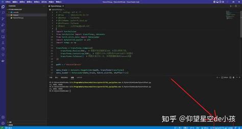 Vscode 中如何运行 Pytorch 程序？ 知乎