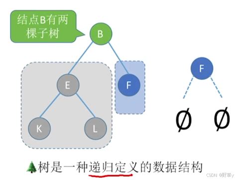 数据结构 5 0 ——树的定义和基本术语 csdn博客