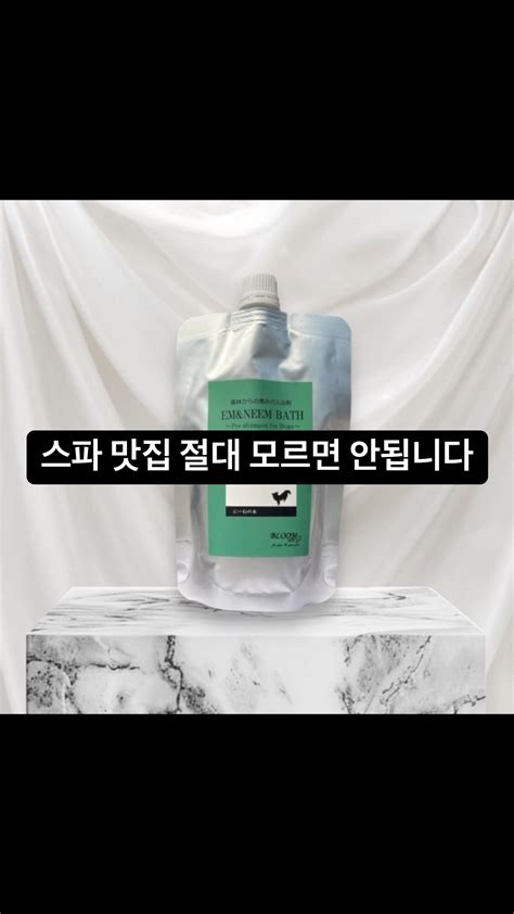 광주 반려견 미용실 포동🍬 두부뽀순💎🍬🤍 ˚₊· 예약문의—̳͟͞͞♡ 01081804321 Naver 포동펫살롱 Kakao