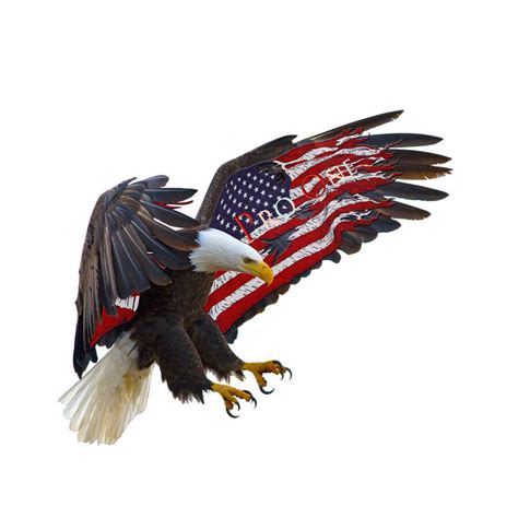 𝙿𝚛𝚘 𝙾𝚗𝚎 🚩 Grade 6 ဆဌမတန်း ဘာသာရပ်အလိုက် သင်ခန်းစာ