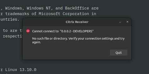 Unable To Connect On Citrix Workspace On Ubuntu 2204