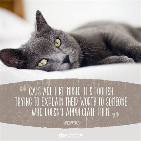 50 Cat Quotes That Only Feline Lovers Would Understand Cat Quotes Funny Cat Love Quotes Cat
