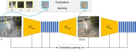 illustration of contrastive learning algorithm download scientific