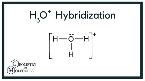 H3o Hydronium Ion Hybridization Explanation Youtube