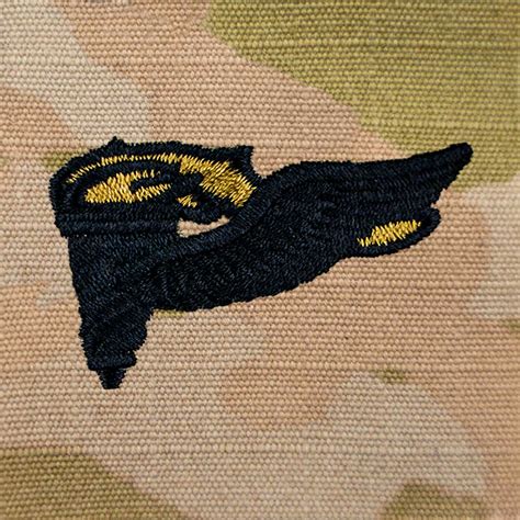 Army Pathfinder Badge Ocp Sew On