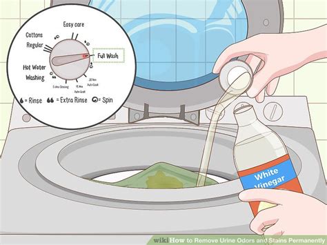 3 Ways To Remove Urine Odors And Stains Permanently WikiHow