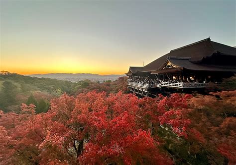 Costruisci La Tua Meta Millemonti