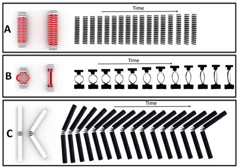 New Horizons For Self Assembling Materials Mit News Massachusetts