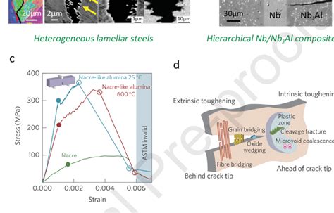 Geometrical Constraint Effect On Crack Propagation A The