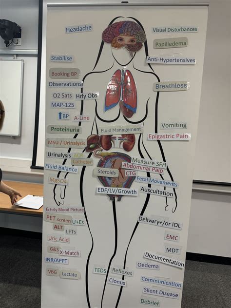 Creativeteaching Prompt Preeclampsia Professionaldevelopment Jade