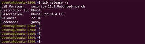 4 Different Commands To Check Ubuntu Server Version Via Terminal