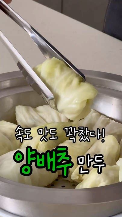 Shorts 속도 맛도 꽉찬 양배추 만두 만두 양배추 양배추요리 Cabbage Youtube