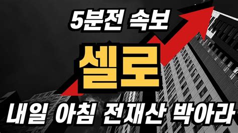 셀로 코인 전재산박아라 발표 내일아침 난리났다 셀로 Youtube