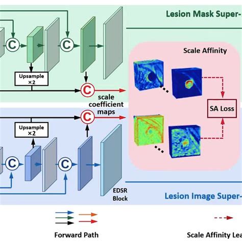 Overview Of Our Proposed Framework With 3d Unet As The Backbone The