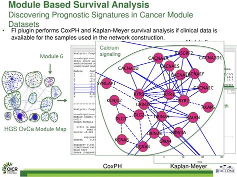 Ppt Reactome Functional Interaction Network Cytoscape Plugin Powerpoint Presentation Id 3200664
