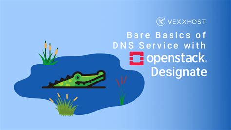 Bare Basics Of DNS Service With OpenStack Designate VEXXHOST