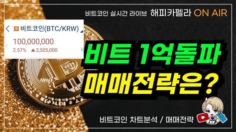 비트코인 1억돌파 이제 남은 것은 알트들의 슈퍼 떡상이 남았다 비트코인 1억돌파 비트1억 알트코인 슈퍼불장