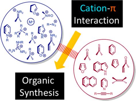 Cation−π Interactions In Organic Synthesis Chemical Reviews