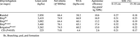 Effect Of Drip Fertigation On Yield Economics Water Use Efficiency