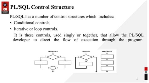 Lecture 2326conditional Control Structurepptx