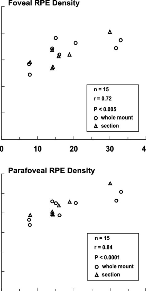 Correlation Between Rpe Cell Density And Age A Mean Results For The