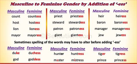 gender of nouns in english grammar masculine and femi