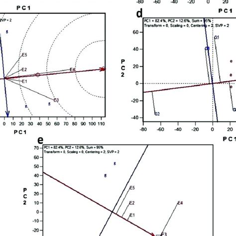 Environment View Of Gge Biplot Analysis A Relationship Among The Test