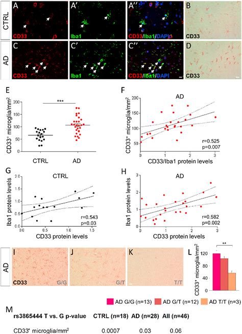 Beta Amyloid 42 Measurement Semantic Scholar