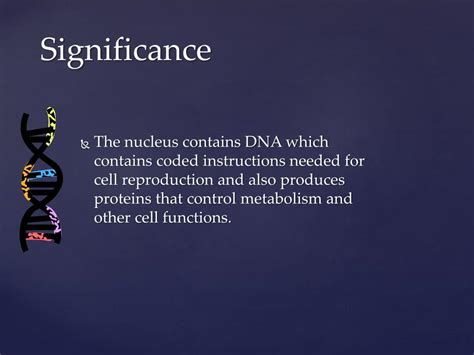 PPT Nucleus PowerPoint Presentation Free Download ID