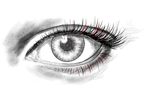 How To Draw An Eyelashes