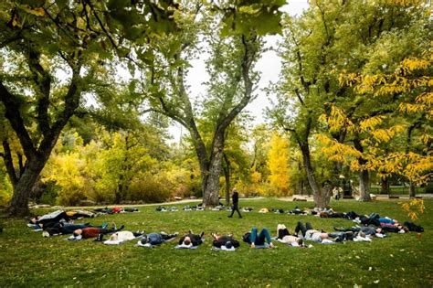 ️ What Do Mindset Emotional Recognition Ice Water And Breathing All