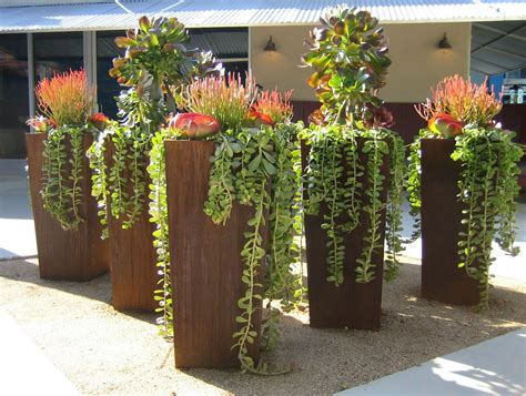 How To Plant In Tall Pots At Roderick Combs Blog
