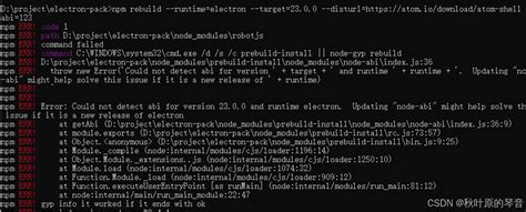 Electron执行npm Run Dev报错＞ Electron Automation190 Dev ＞ Electron