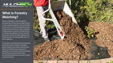 Forestry Mulching Mulchtech Mulchers Vegetation Management Land Clearing