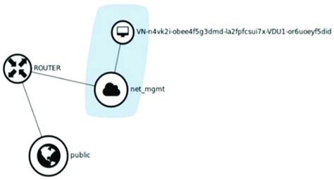 Network Topology After Deployment Of Vnf In A Cloud Environment