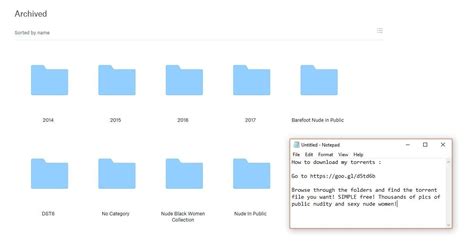 Black Exhibitionists 28 Shesfreaky