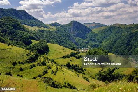 신선한 녹색 초원과 꽃이 만발한 알프스의 목가적 인 풍경과 배경에 나무로 덮인 산 아름다운 고산 여름 전망 잔디밭 구불구불한 언덕 시골 풍경 0명에 대한 스톡 사진 및 기타