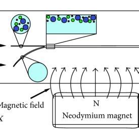 Schematic Of The Microfluidic Device Used For Magnetic Nanoparticles Download Scientific