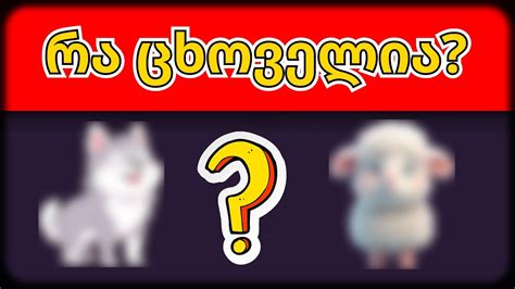 იცნობ ყველა ამ ცხოველს სახალისო თამაში Youtube