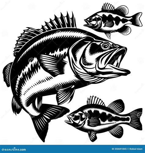 Silhouette Bass Fish Vector Design 350840002