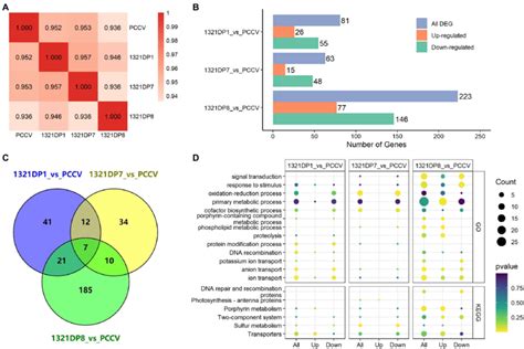 Rna Seq Results Analysis A Pearson Correlation Analysis Between