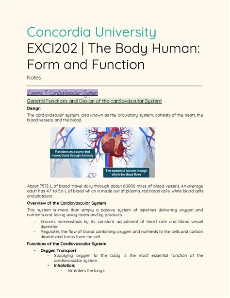 Exci 202 Concordia University 2021 Lesson 5 Concordia University Exci202 The Body Human