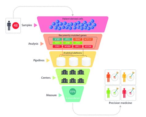 European Multicenter Evaluation Of Amplicon Based Next Generation Download Scientific Diagram