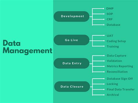 Data Management Analysis Clinesia