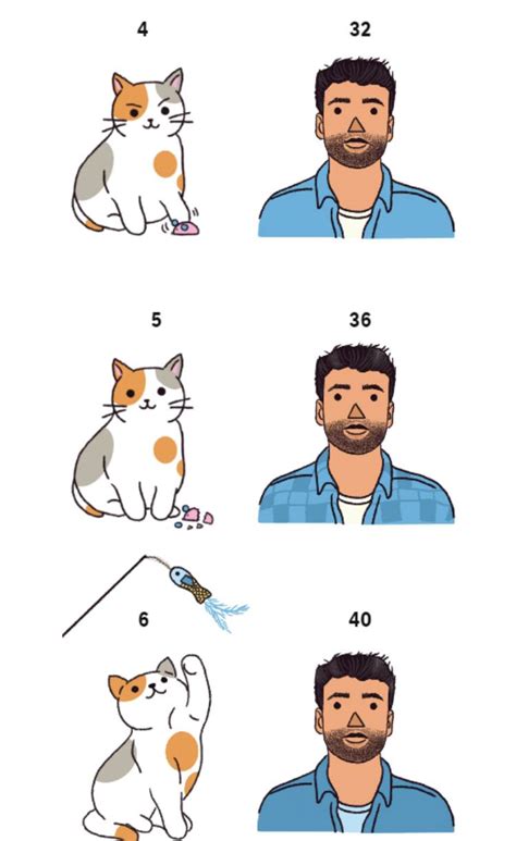 고양이 나이로 사람 나이 체감하기 인스티즈 Instiz 이슈 카테고리