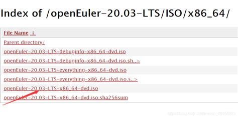 vmware workstation上openeuler的安装教程 openeuler在vmwareworkstation csdn博客