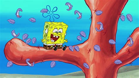 The Clam Whisperer Spongebob Wiki The Spongebob Encyclopedia