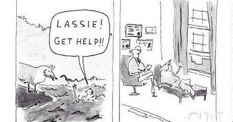 Sensible Chuckle Imgur