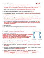 14 Meiosis Qs KEY Doc IMPORTANCE OF MEIOSIS 40 What Is Meiosis The Creation Of Gametes